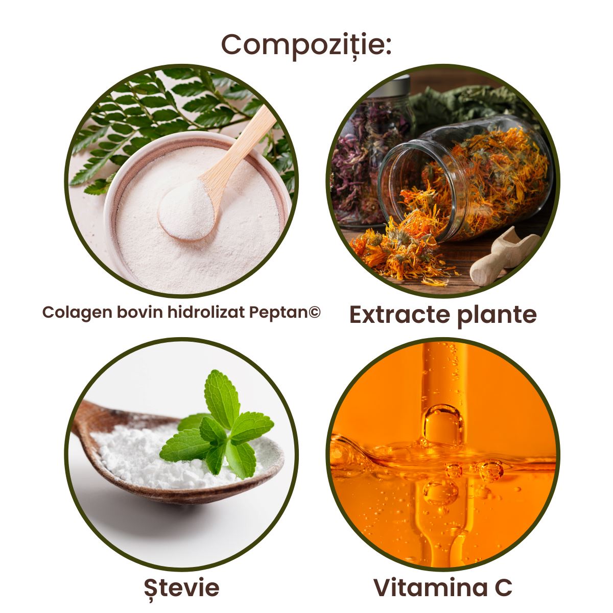 Colagenus – Colagen lichid hidrolizat pentru sănătatea articulațiilor ...