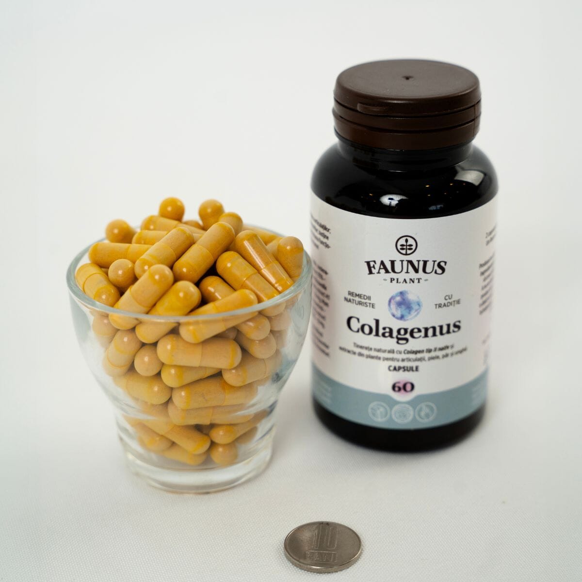 Care este diferența dintre colagenul tip 1 și cel tip 2?