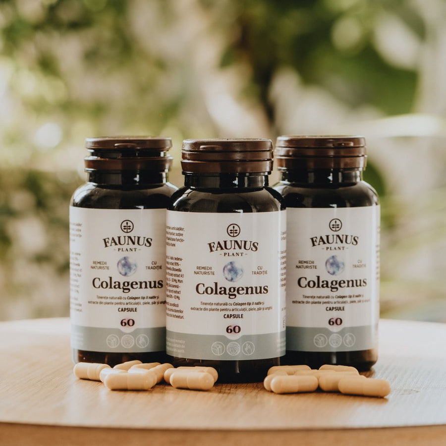 Colagenus Capsule - Colagen concentrat tip II, acid hialuronic și plan ...