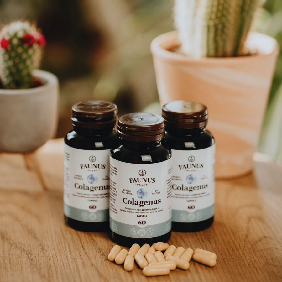 Colagenus Capsule - Colagen concentrat tip II, acid hialuronic și plan ...