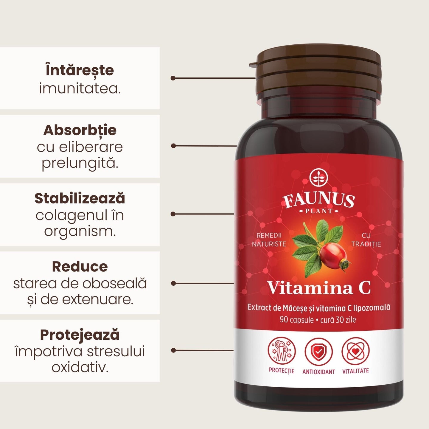 Vitamine recomandate pentru reglarea poftei de mâncare – Faunus Plant