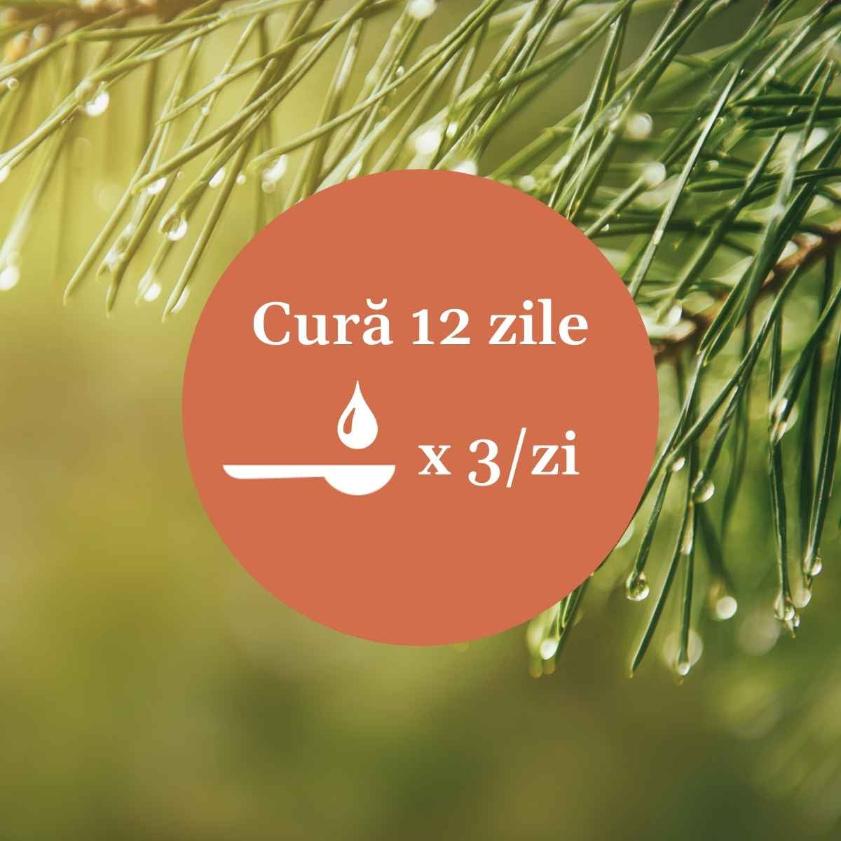 Sirop Respiratorus 200ml - Faunus Plant