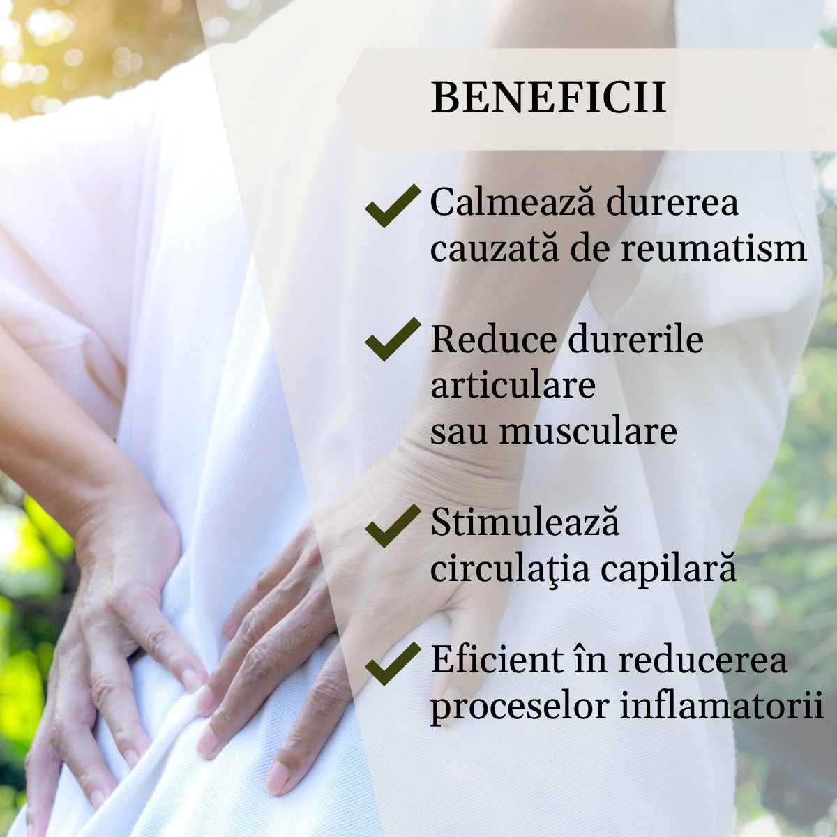 Unguent Reumaticus 100ml - Faunus Plant